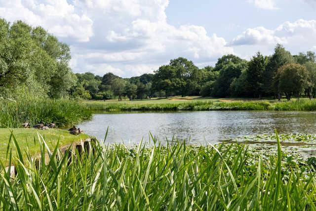 Dyrham Park Country Club - Ratings, Reviews & Course Information | GolfNow Dyrham Park Country Club - Ratings, Reviews & Course Information | GolfNow