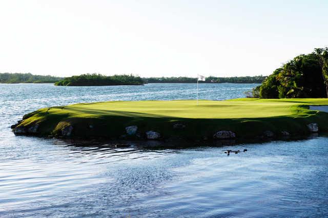 Enjoy No Fees At Royal Blue Golf Club - Nassau NP | TeeOff