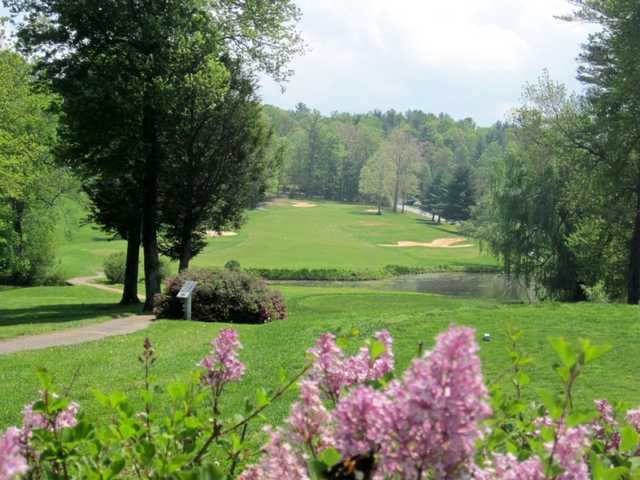Chestnut Mountain Golf Club Tee Times - Mills River NC