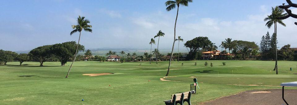 Enjoy No Fees At Bulimba Golf Club - Brisbane QL | TeeOff