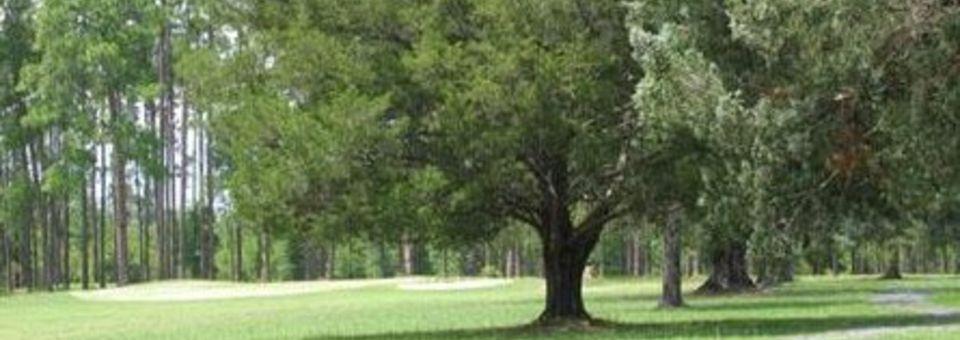 Enjoy No Fees At Starke Golf & Country Club - Starke FL | TeeOff