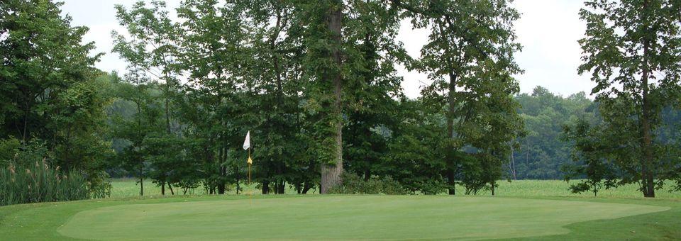 Enjoy No Fees At Rolling Hills Golf Course - Cass City MI | TeeOff
