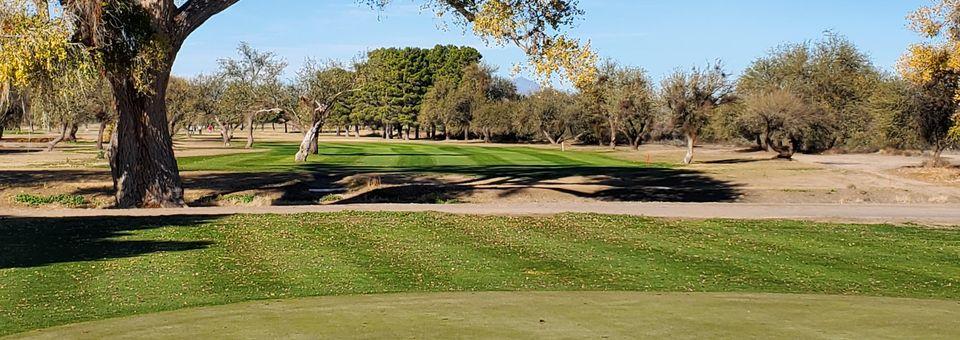Mt. Graham Golf Club - Reviews & Course Info | GolfNow