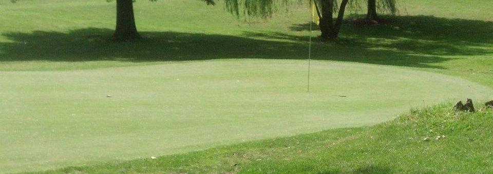 Enjoy No Fees At Tower Tee Golf & Recreation - St. Louis MO | TeeOff