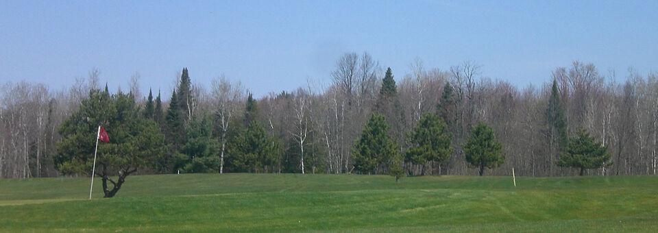 Wildwood Lakes Golf Course - 9 Holes Tee Times - Wolverine MI