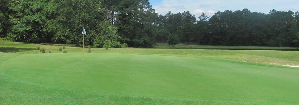 Gates Four Golf & Country Club Details and Reviews | TeeOff