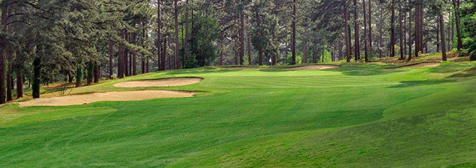 Foxfire Resort & Golf - Grey Fox (West) Tee Times - Foxfire Village NC