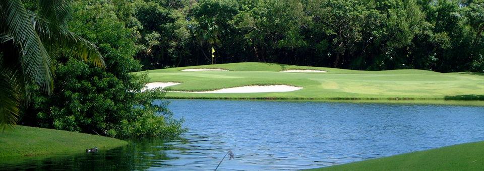 Key West Golf Club - Reviews & Course Info | GolfNow