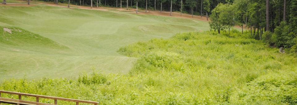 Eagles Brooke Country Club Tee Times - Locust Grove GA