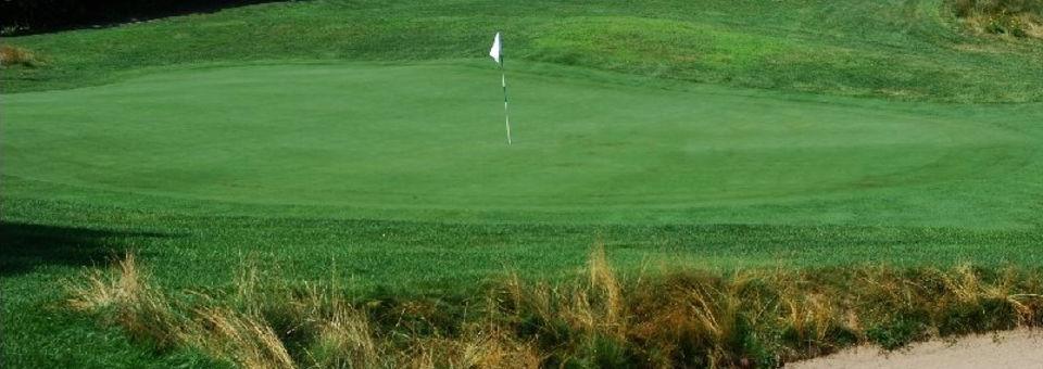 Enjoy No Fees At Calderone Farms Golf Club - Grass Lake MI | TeeOff