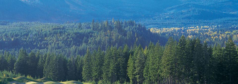 Suncadia Resort- Prospector Course Tee Times - Cle Elum WA