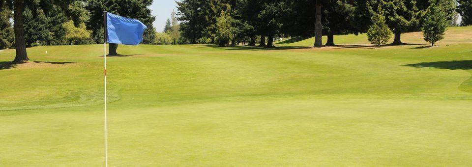 Enjoy No Fees At Allenmore Golf Course - Tacoma WA | TeeOff