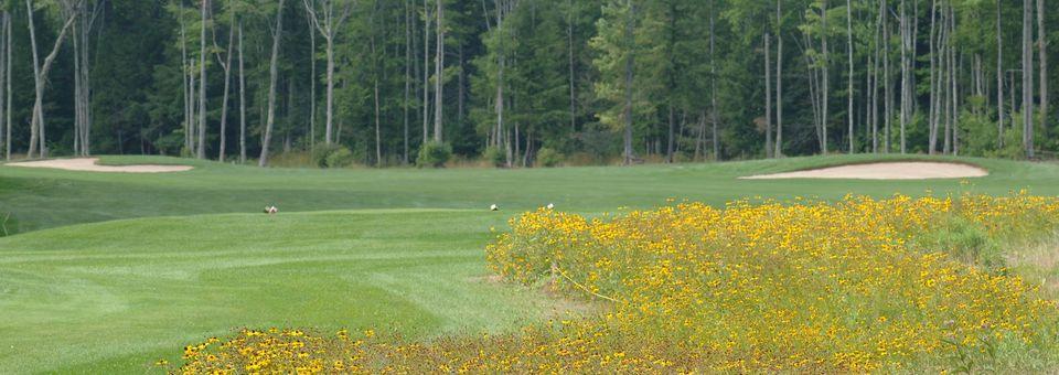 Wild Bluff Golf Course Tee Times - Brimley MI