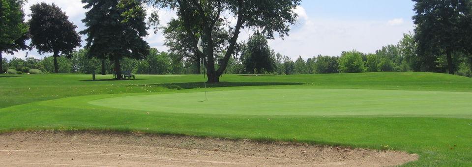 Crestview Golf Course Tee Times - Zeeland MI