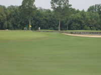Wedgewood Public Golf Course Tee Times - Wilson NC