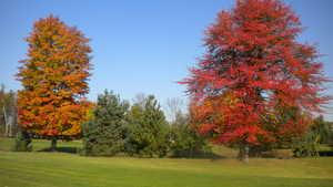 Enjoy No Fees At Willow Springs Golf and Country Club - Vassar MI | TeeOff