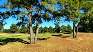 Enjoy No Fees At Gleannloch Golf Club - Spring TX | TeeOff