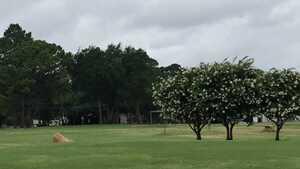 Enjoy No Fees At Star Harbor Golf Club - Malakoff TX | TeeOff