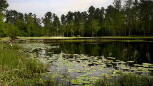 Enjoy No Fees At Windance Country Club - Gulfport MS | TeeOff