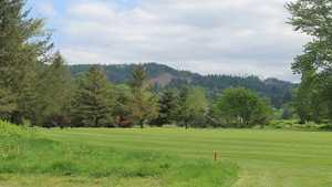 Twin Rivers Golf Course Tee Times - Fall City WA