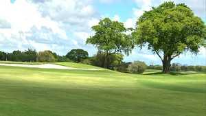 Miccosukee Golf and Country Club Tee Times - Miami FL