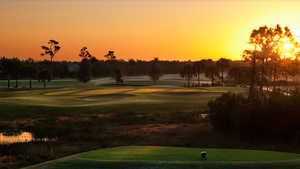 Lely Resort Golf & Country Club - Mustang Tee Times - Naples FL